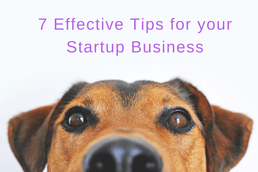 7 Effective Tips for your Startup Business - Intuitive Leadership Mastery